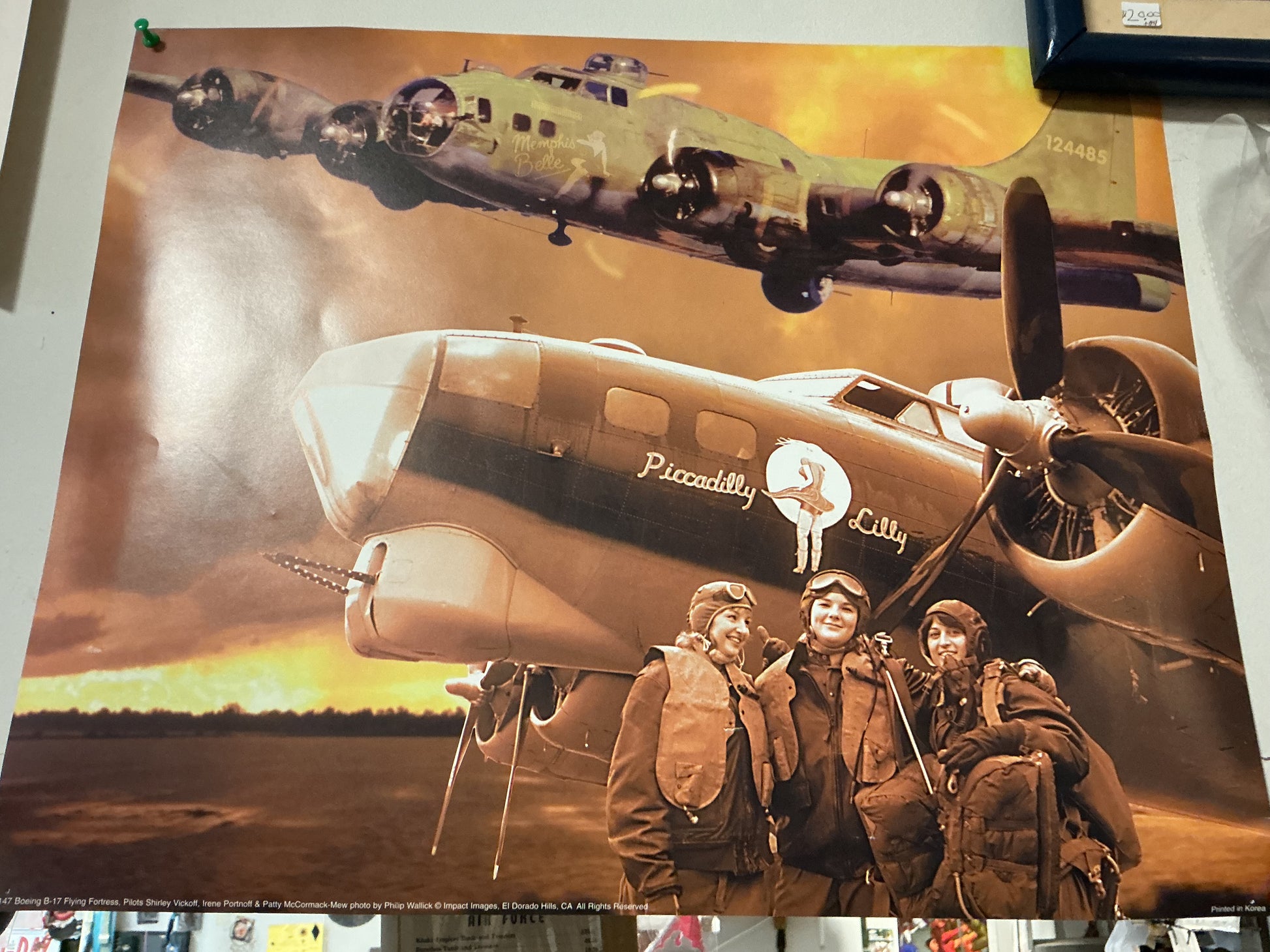 New Piccadilly Lilly Bomber Poster – Roy's Army Surplus & Collectables